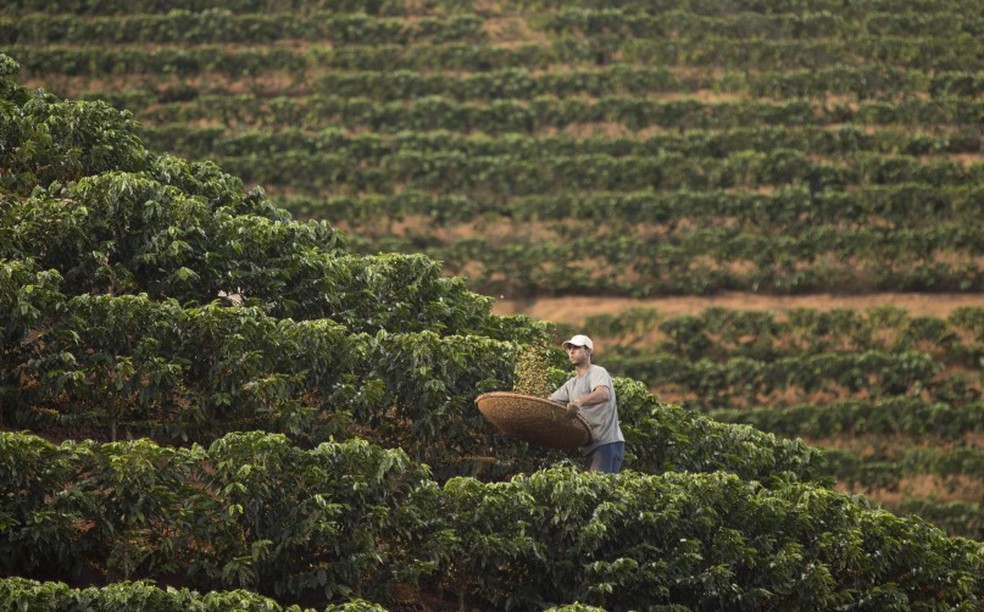 Luz no fim do túnel: veja por que exportadores já contam com redução da ...