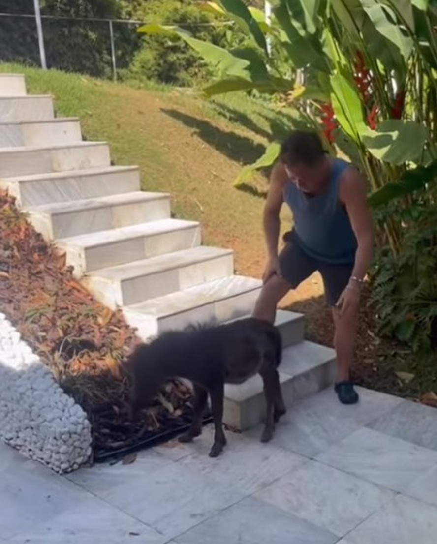 Leonardo publica vídeo com animal não identificado e gera reações nas redes
