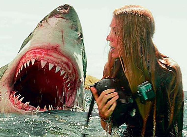 'Tubarão', de Steven Spielberg, completa 50 anos; entenda o fenômeno ...