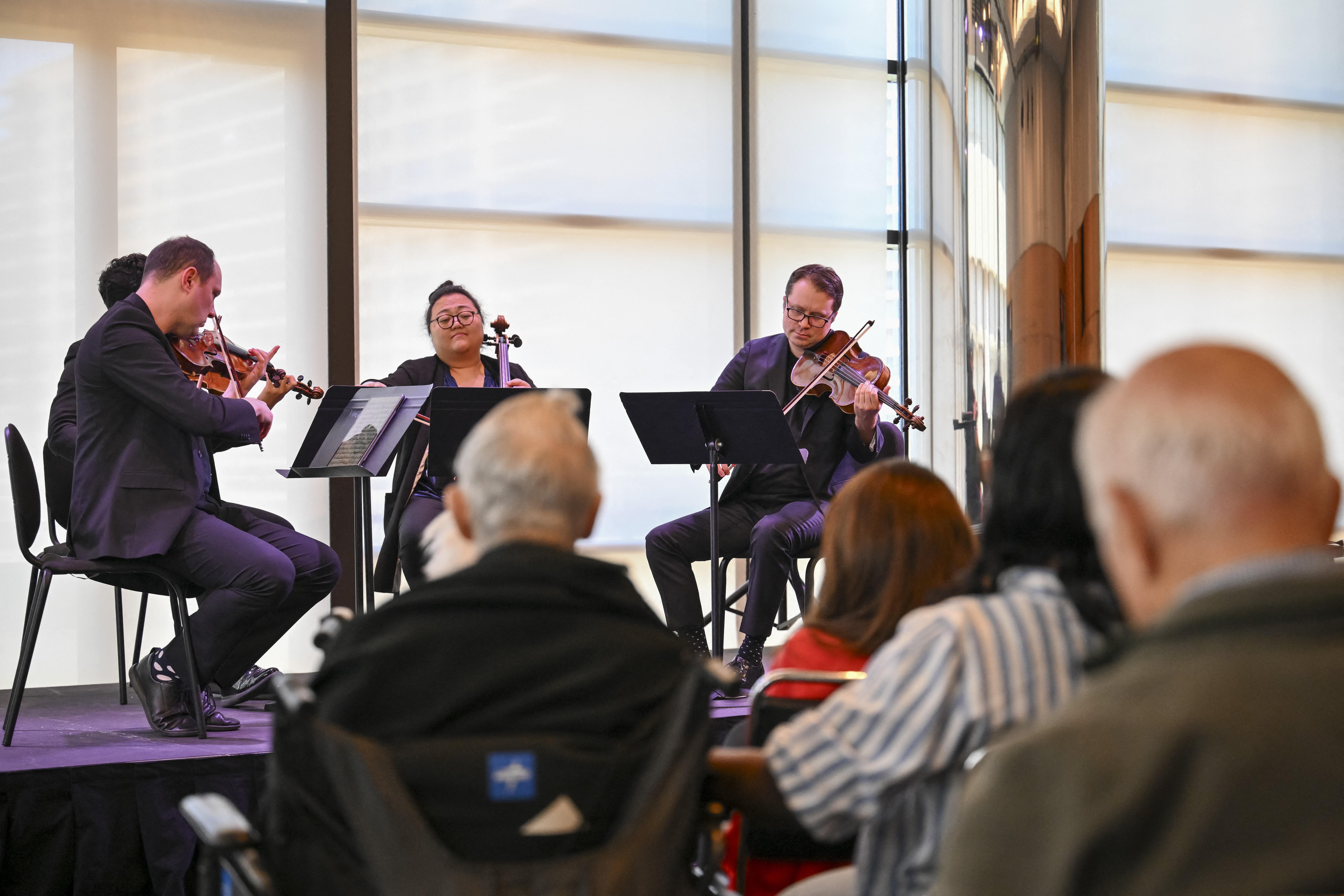 Terapia musical: concertos de música clássica em Nova York para pessoas ...