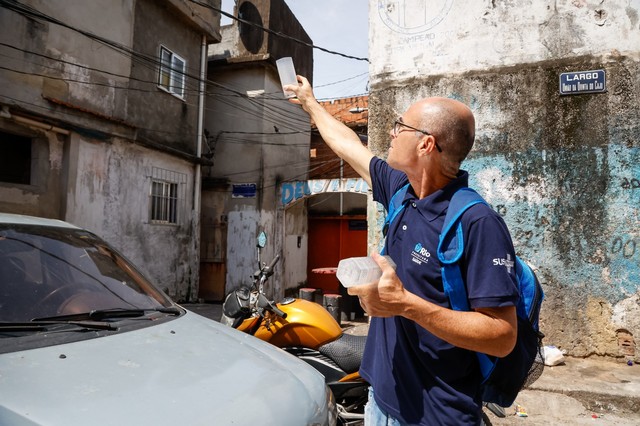 Método Wolbachia: três bairros do Rio têm soltura de mosquitos usados ...