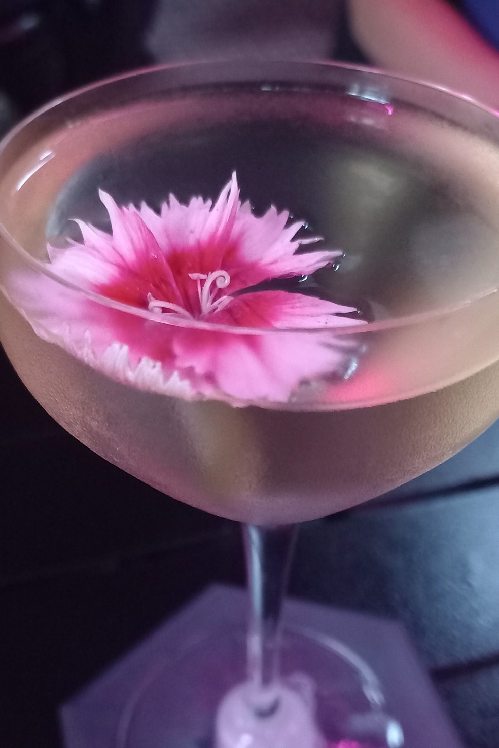 BUENOS AIRES ALÉM DA 'PARRILLA': RESTAURANTES INDICADOS PELO 'GUIA ...