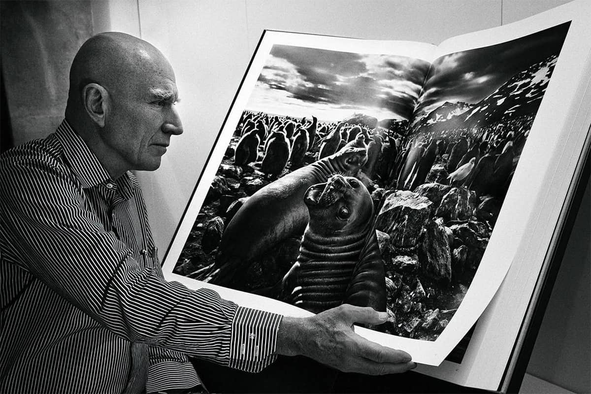 Sebastião Salgado: veja fotos marcantes do mestre, morto aos 81 anos