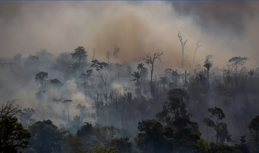 Sede da COP-30, Pará é o estado que mais teve focos de queimada em 2023