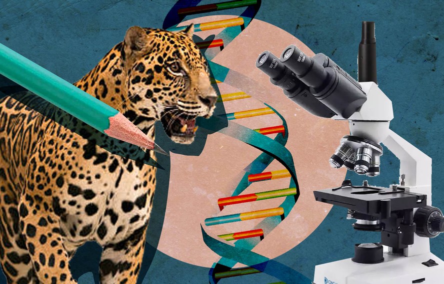 Enem: o que mais cai em Biologia? Saiba o que estudar