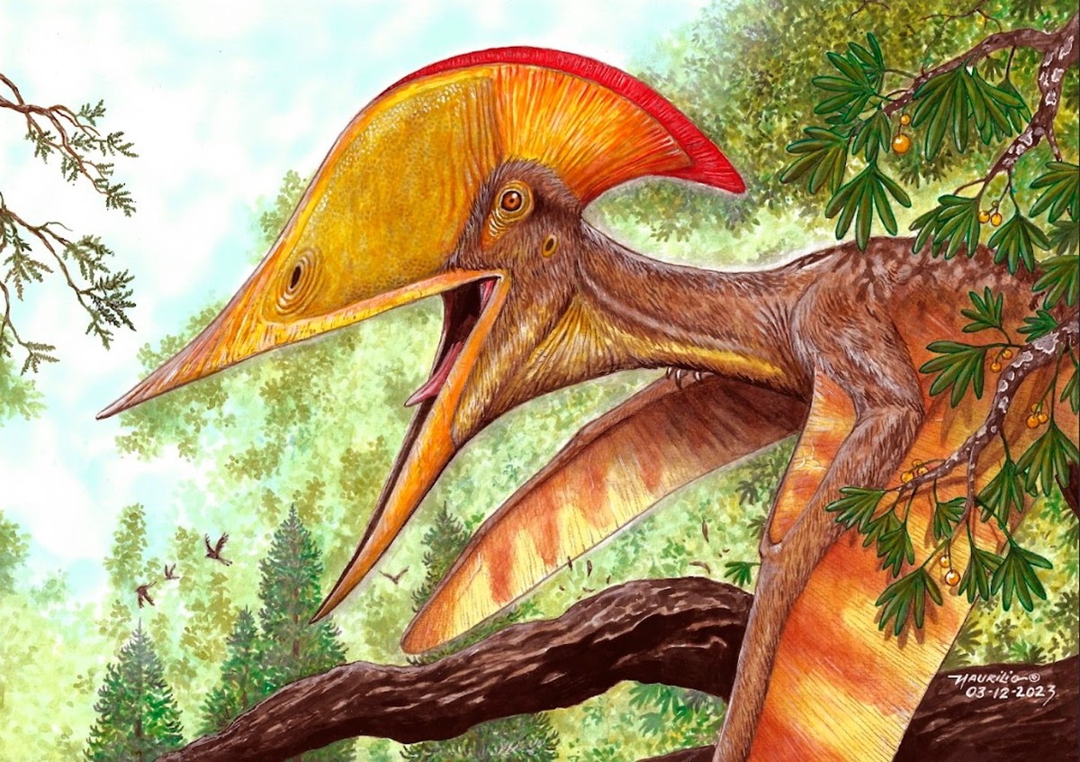 Nova espécie de pterossauro, que foram os primeiros dinossauros a voar ...