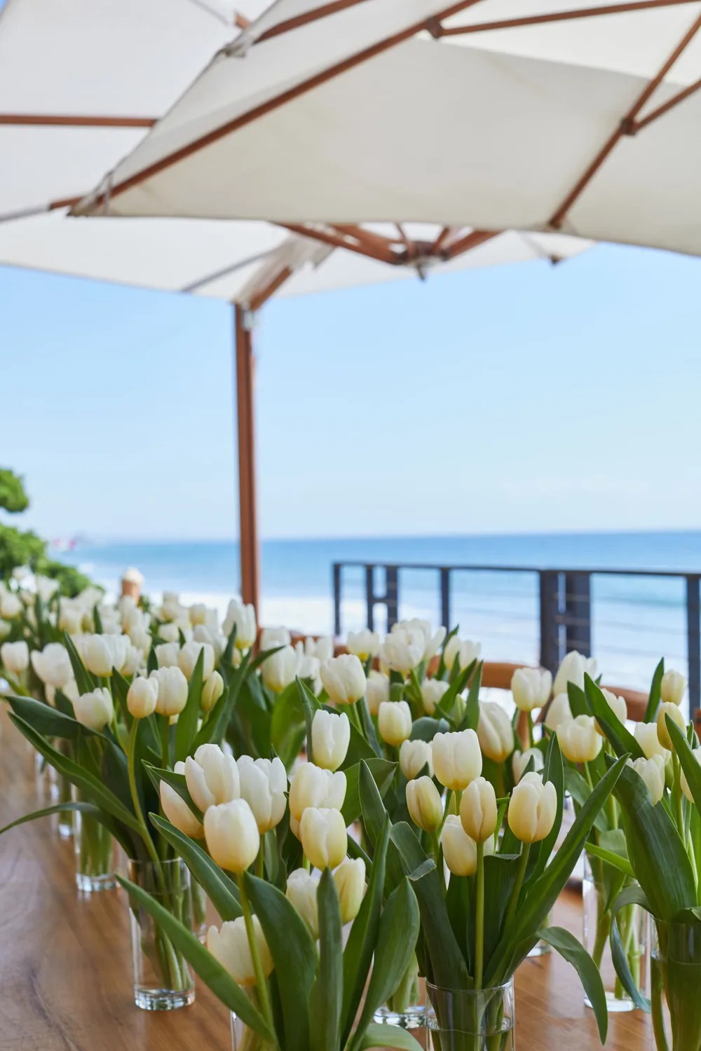 Carolina Ferraz fala do casamento da filha com empresário americano e ...