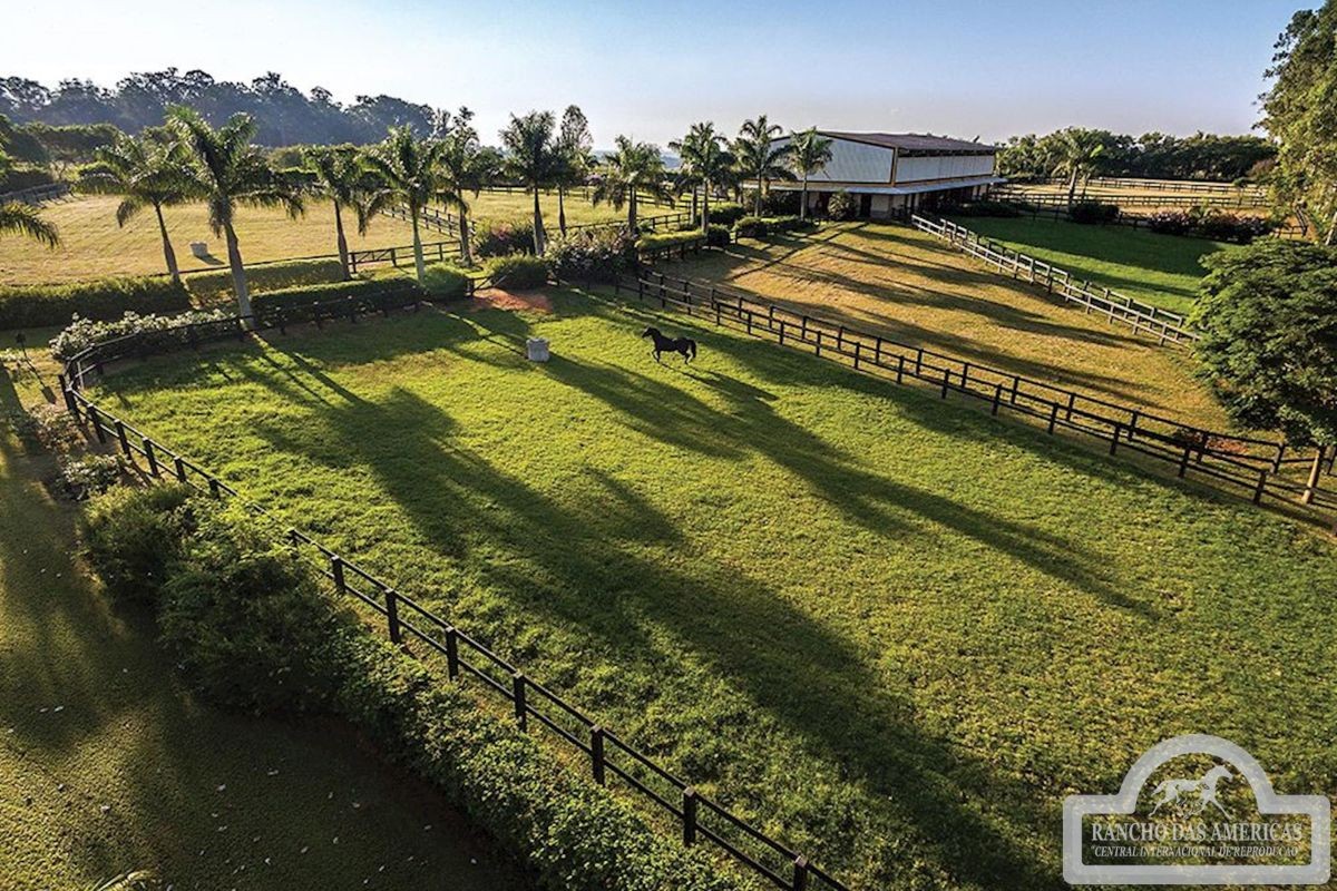 Rancho de Sorocaba: conheça haras do sertanejo que abriga cavalos da ...