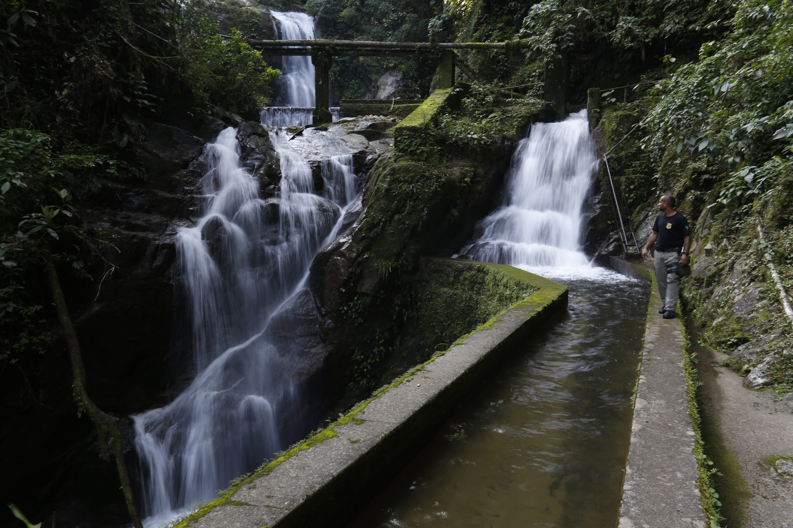 Reserva do Tinguá, na Região Metropolitana do Rio, abriga espécies de ...