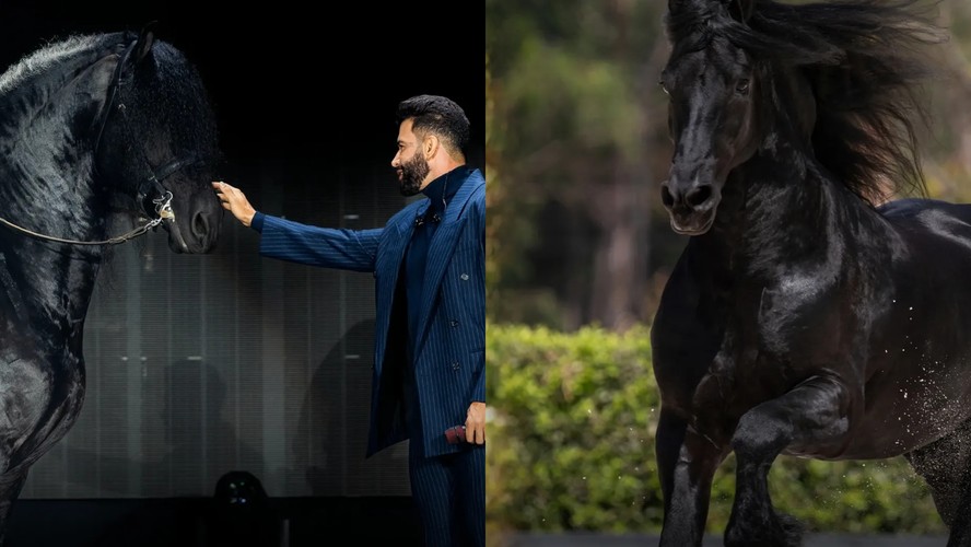 Conheça Oregon, o cavalo de Gusttavo Lima vendido por R$ 5 milhões em ...
