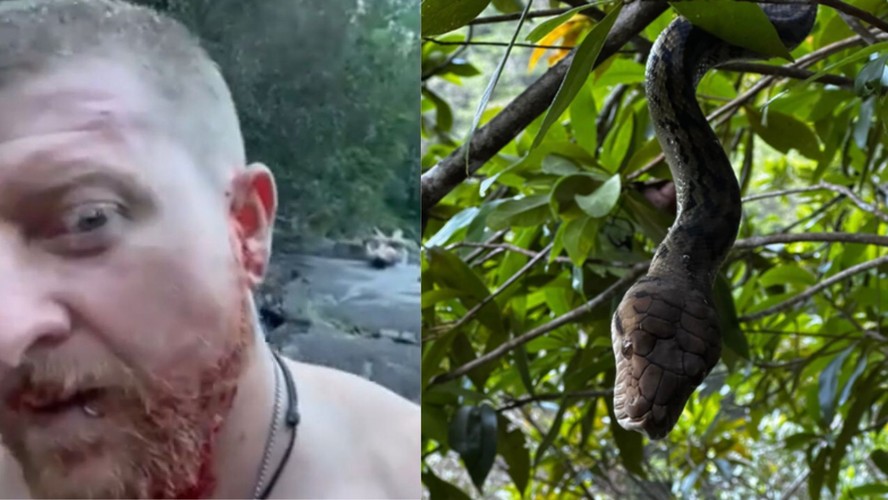 Homem é mordido por cobra enquanto tentava gravá-la de perto na ...