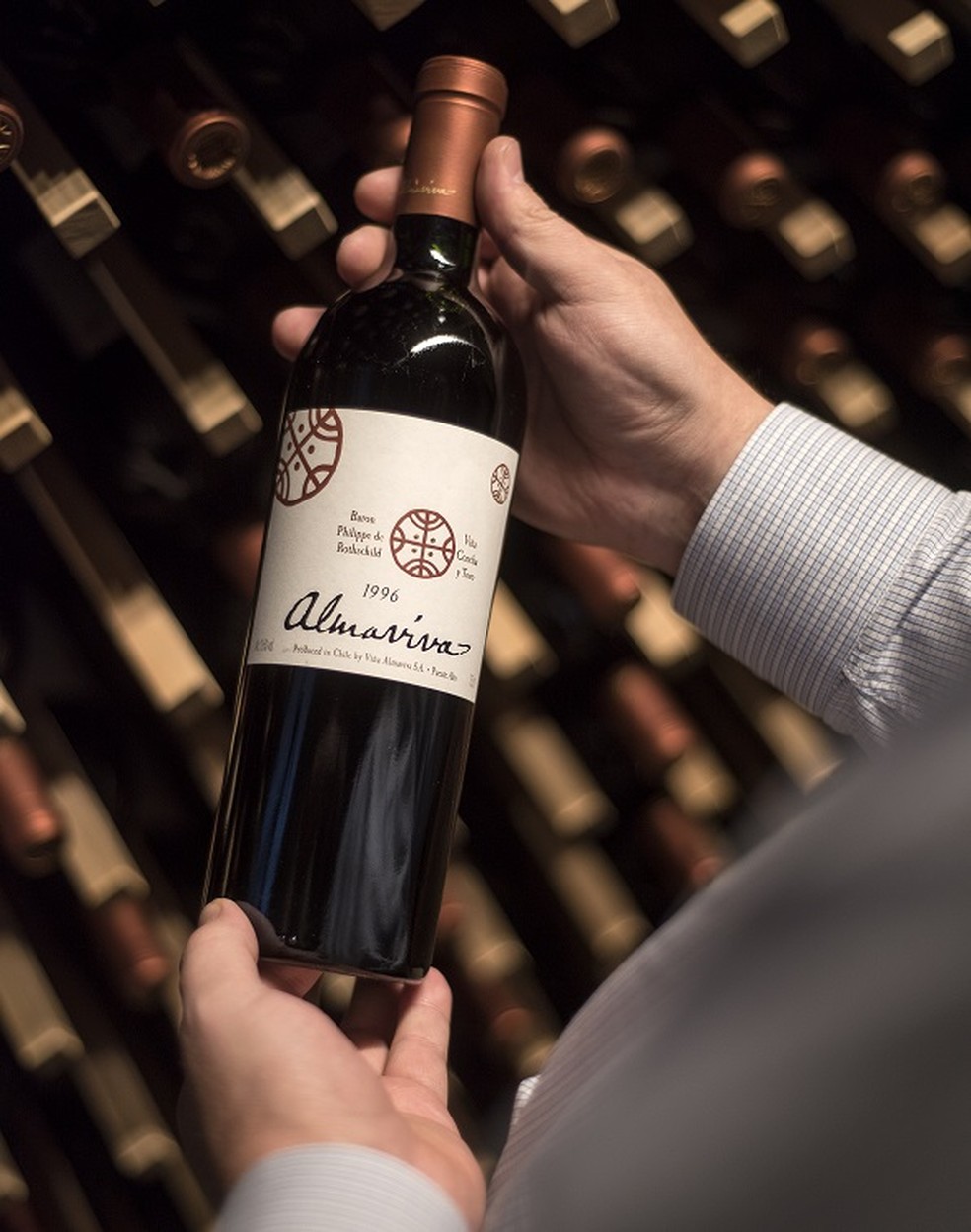 Concha y Toro: chairman da gigante chilena revela segredos do best ...