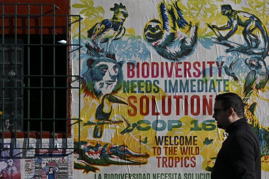 'Paz com a Natureza' em tempos de crise: COP16 começa na Colômbia sob ...