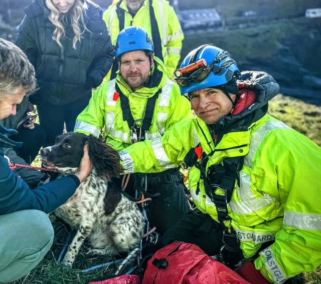 Resgate nas falésias: cachorro é salvo após cair de penhasco de 30 ...