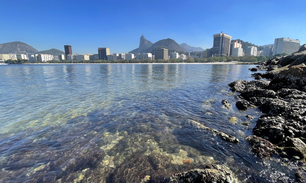 Arraias são flagradas na Praia de Botafogo, em meio a água transparente ...