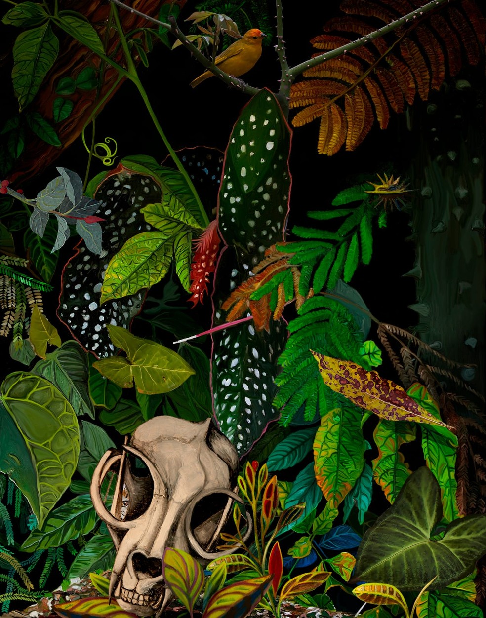 Exposição com preciosidades do MAM é novidade no roteiro de museus cariocas