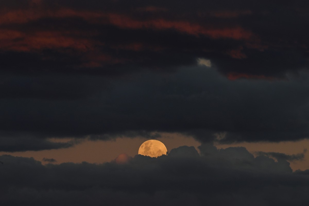 Calendário lunar de novembro 2025: veja as fases da lua no mês