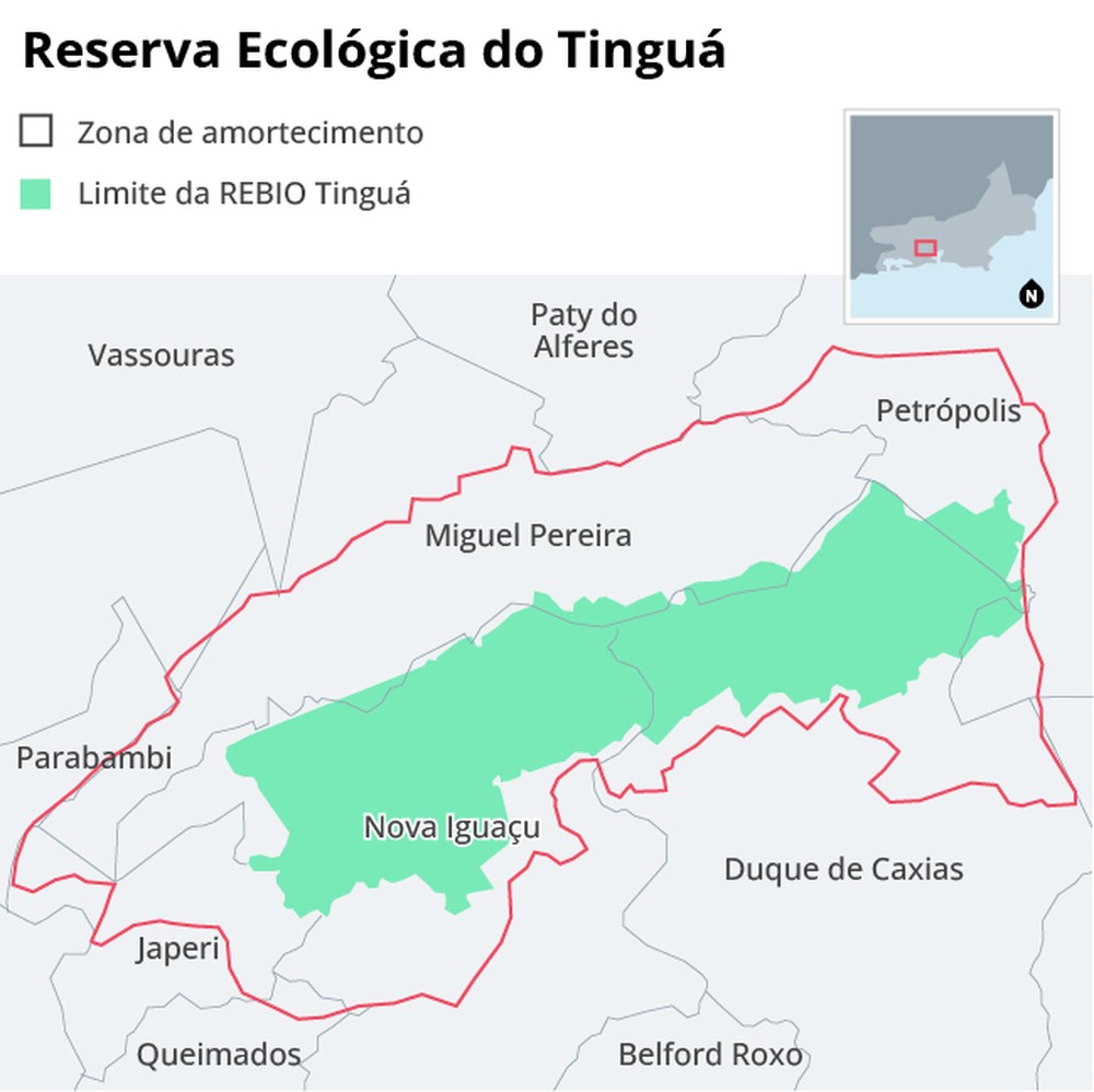 Reserva do Tinguá, na Região Metropolitana do Rio, abriga espécies de ...