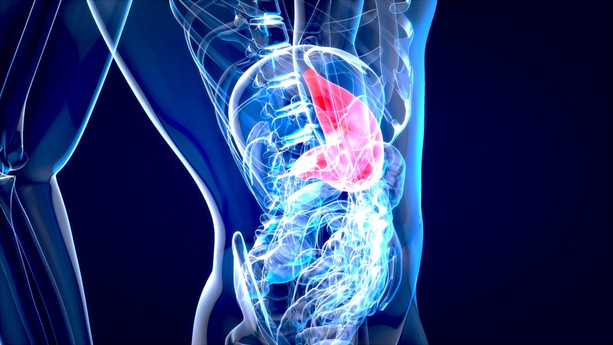 Cirrose: terapia inédita pode reverter os danos causados pela doença ...