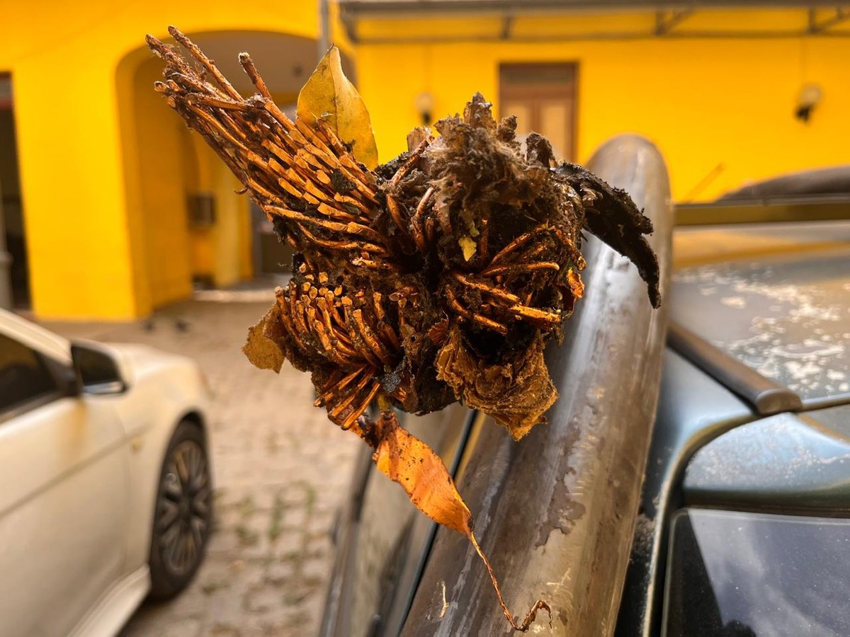 Apenas este ano, cabos furtados da Light equivalem à extensão da Ponte ...