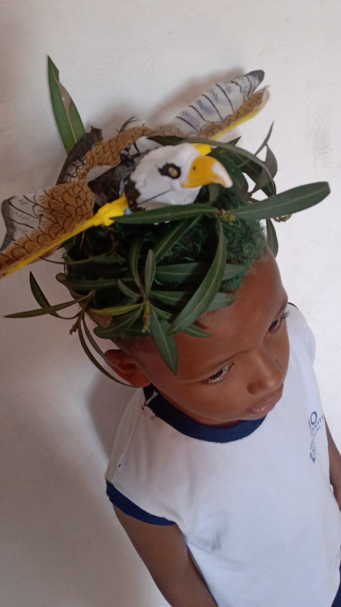 Você sabe o que é 'cabelo maluco'? Febre entre alunos em outubro volta a mobilizar internet com ...