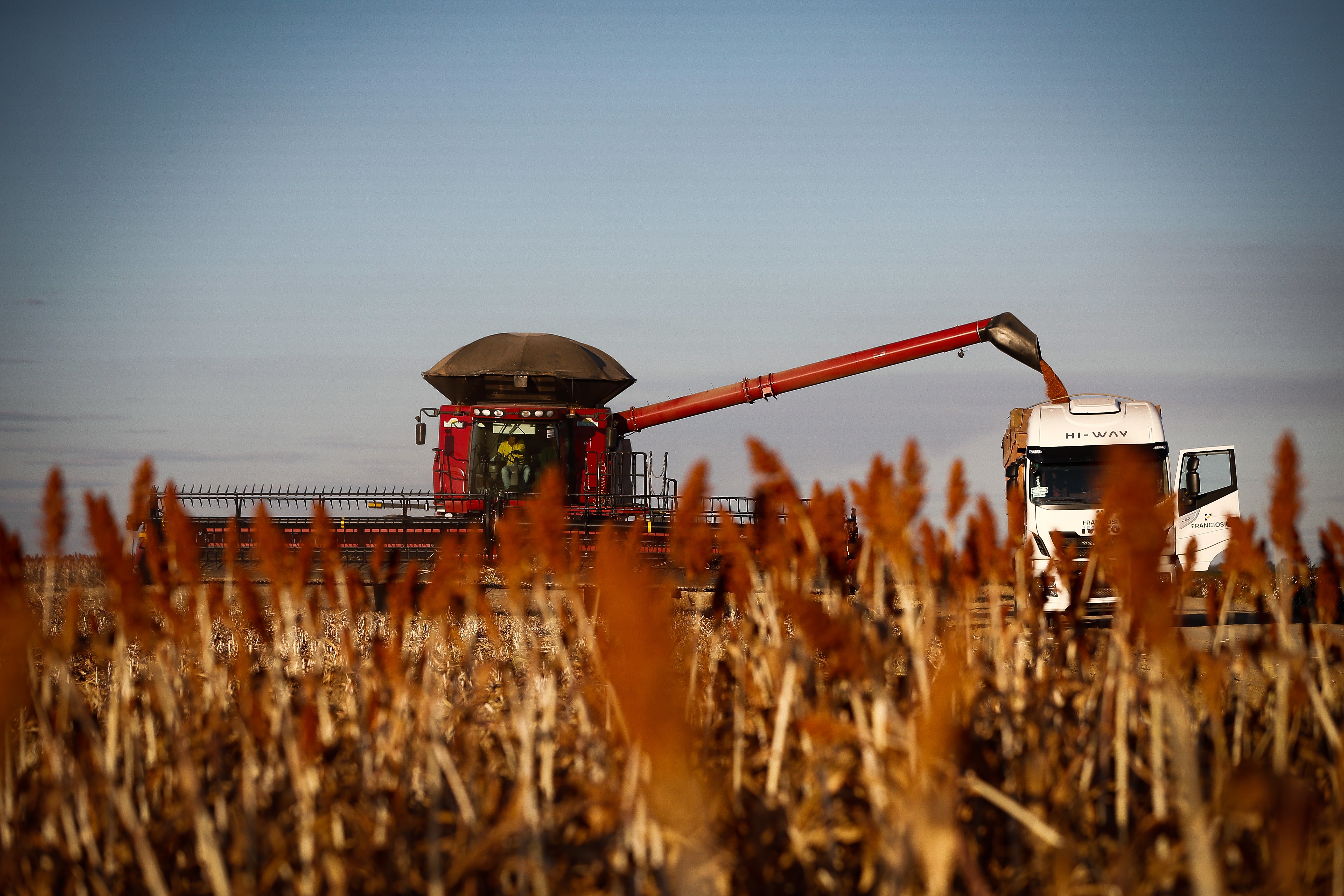 Agro atinge recorde de 1.990 pedidos de recuperação judicial em 2025 ...