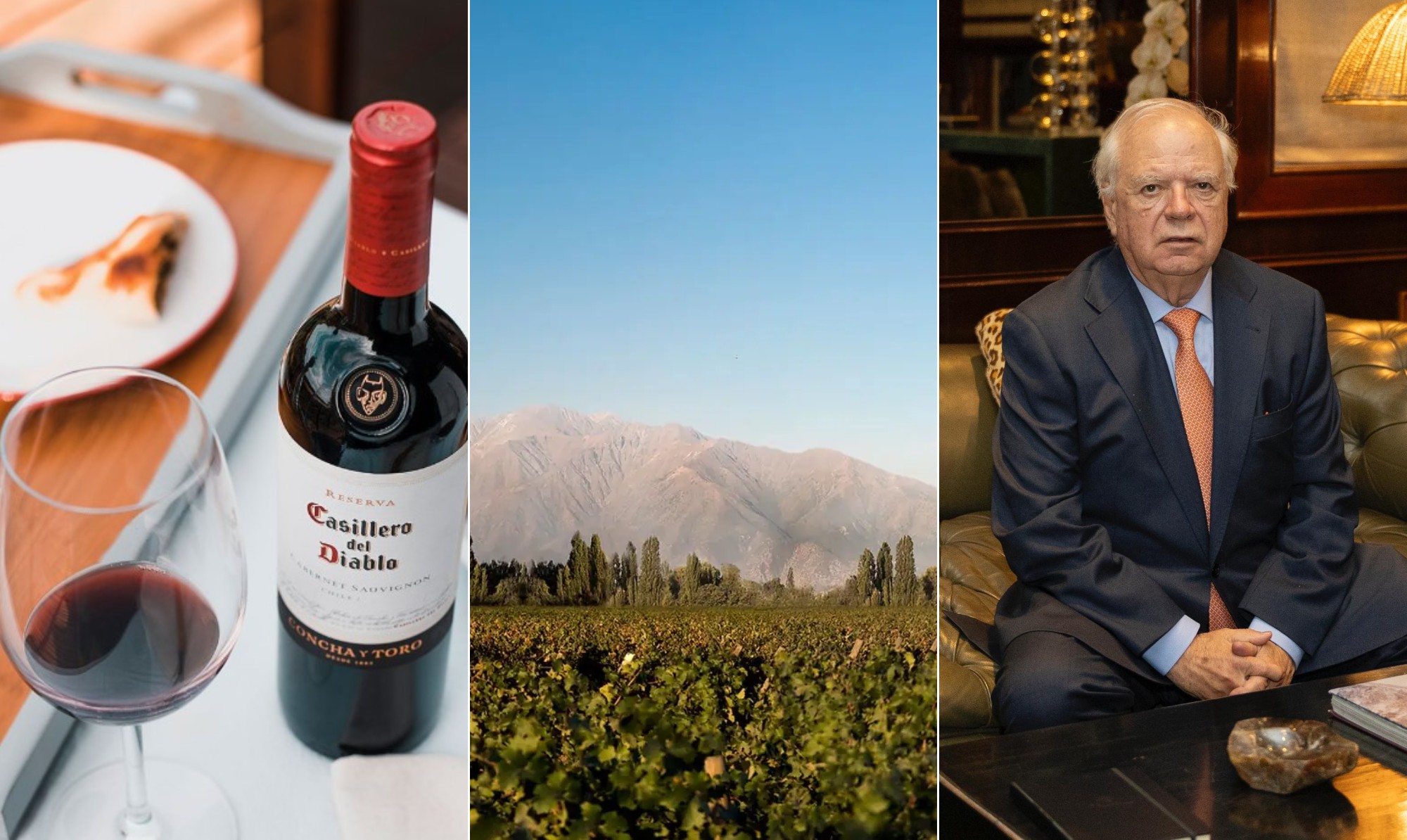 Concha y Toro: chairman da gigante chilena revela segredos do best ...