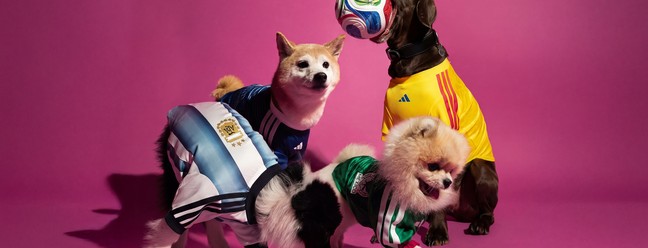 Site fraudulento anuncia álbuns e figurinhas da Copa a preços 83% mais ...