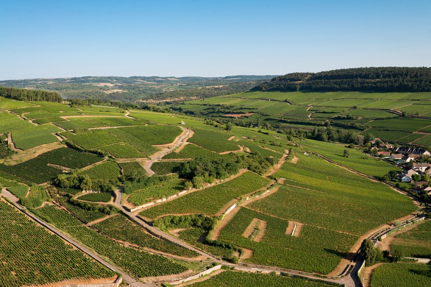 Vinhos tintos e brancos da francesa Pierre André são porta de entrada ...