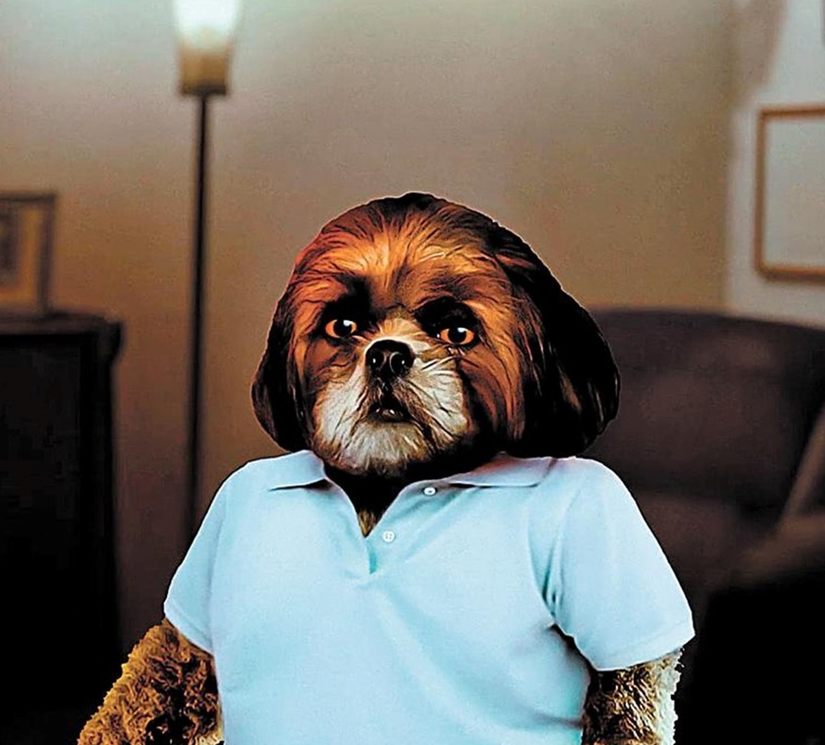 Crítica: humor português que virou fenômeno de diversão agora aborda os ...