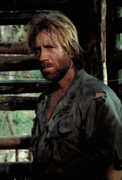 Fruto de traição, filha mais velha de Chuck Norris só foi reconhecida ...