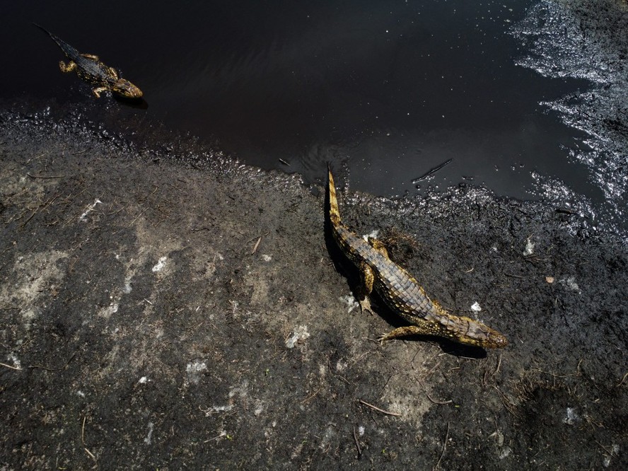 Após pedido do Inea, Iguá começa a bombear 200 mil litros de água para ...