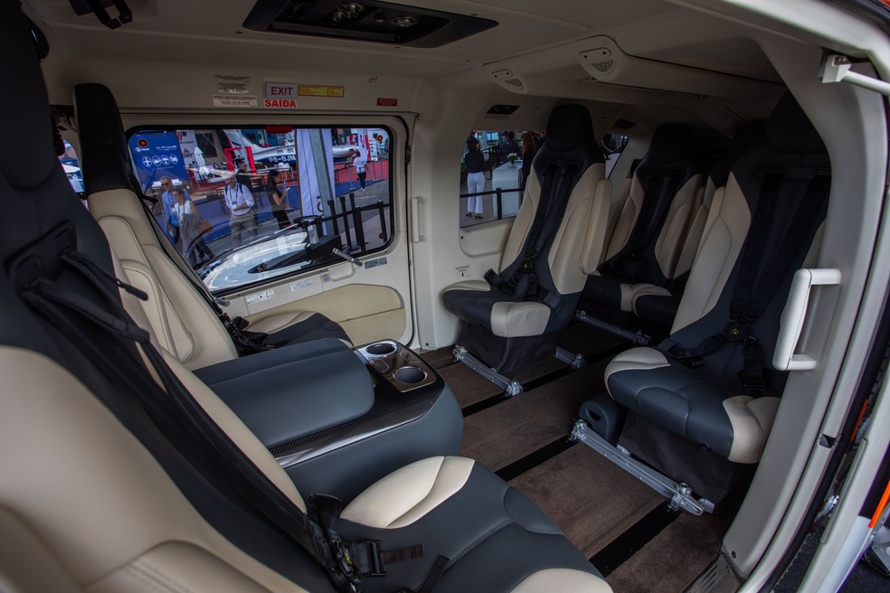 Jatinhos de luxo e 'mimos' como carpete personalizado: veja os ...