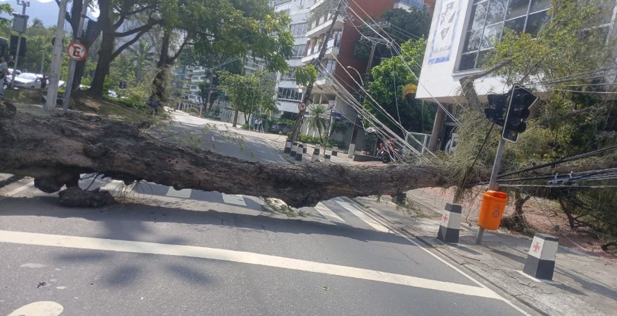 Árvore cai na Lagoa, provoca desvio no trânsito e engarrafamento na Zona Sul do Rio