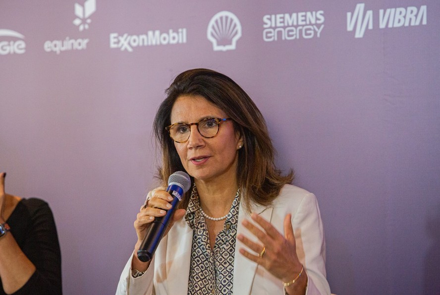 Diretora da COP30 cobra participação de empresas no combate às mudanças ...