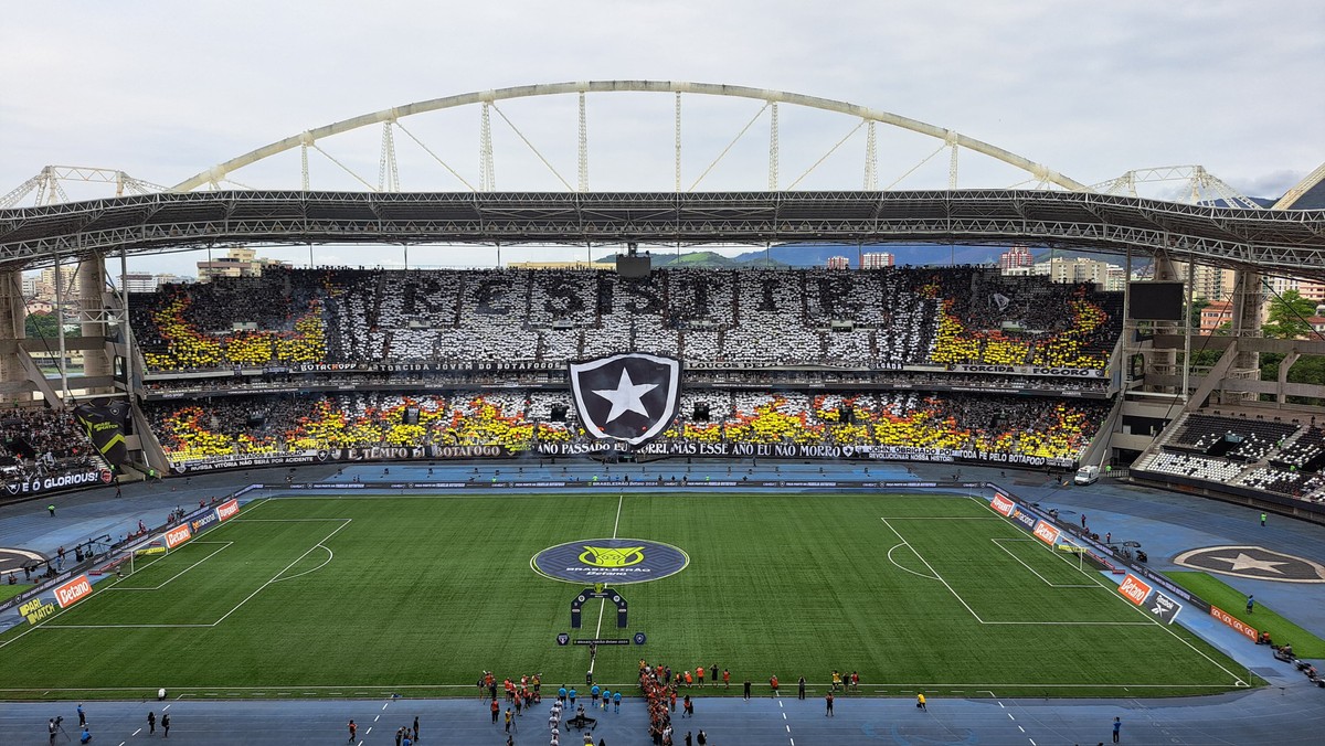 Com tema de Belchior, torcida do Botafogo faz último mosaico do ...