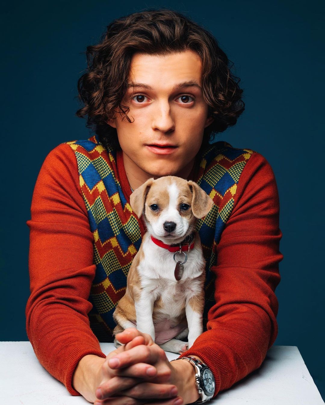 Tom Holland vai 'se aposentar' do Homem-Aranha? Ator sinaliza possível ...
