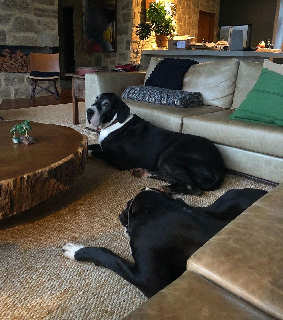 Ricardo Tozzi fala sobre casa na Serra do Rio com vista para as ...