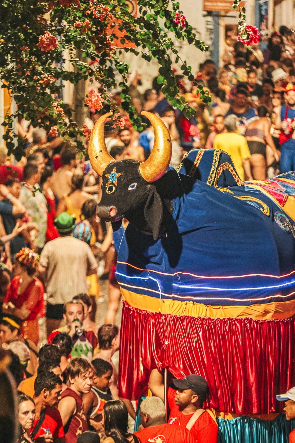 Bloco leva clima do carnaval de Pernambuco para o Centro do Rio neste ...