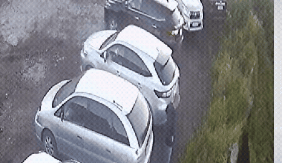 Câmeras de segurança registram ataque de urso contra moradores em ...