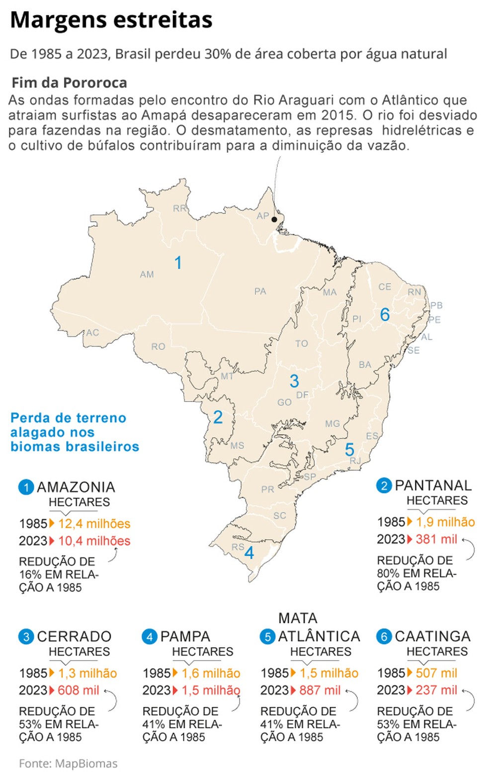 Brasil perde 30% das áreas alagadas em quatro décadas, e redução do ...