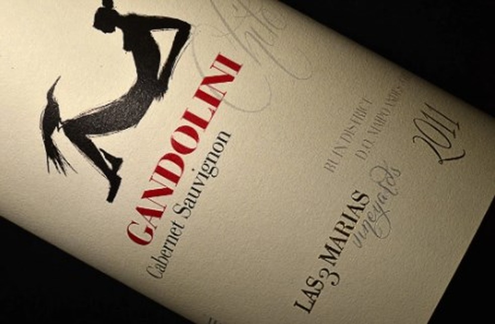 Vinhos chilenos: confira dicas de blends elogiados pelos críticos a ...