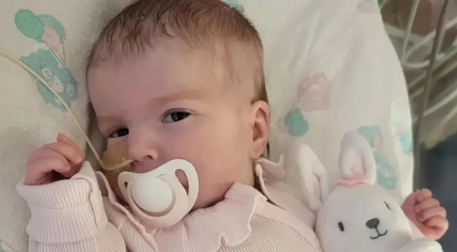 Da batalha judicial à morte 'trágica': linha do tempo mostra trajetória ...