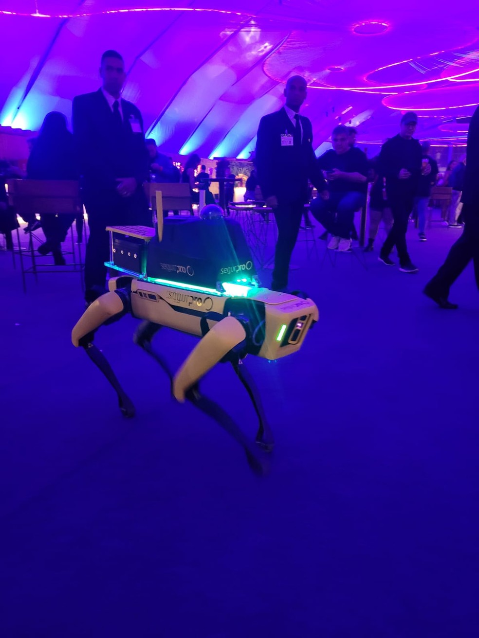 Rock in Rio usa cães robôs para barrar invasores que atravessam lagoa ...