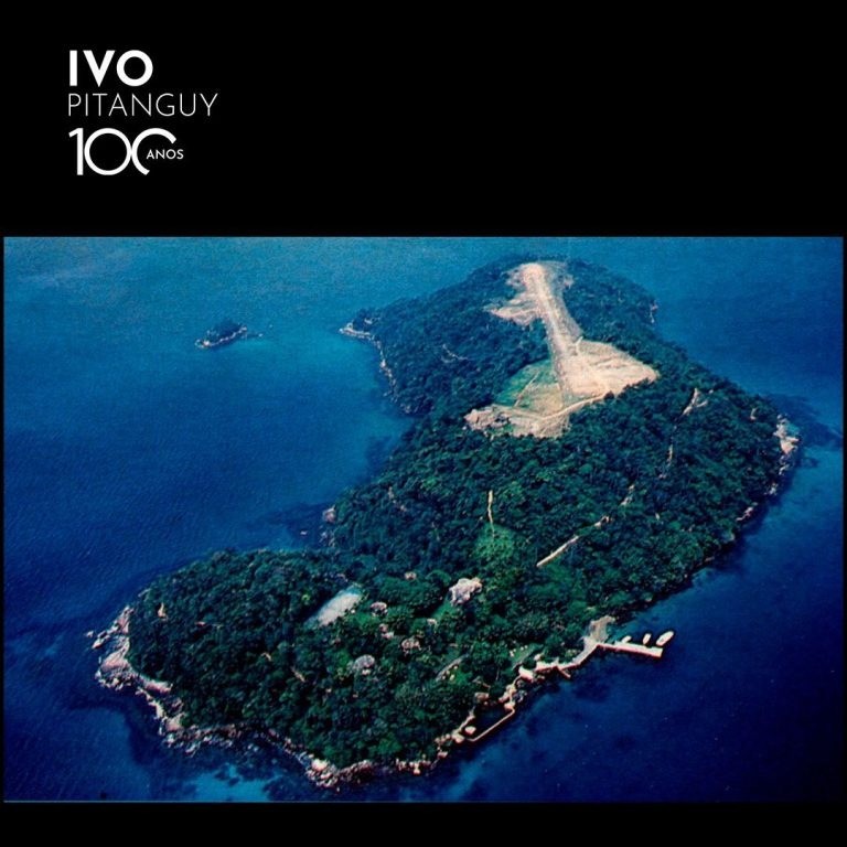 Briga judicial e omissão de socorro: quem é Helcius Pitanguy, herdeiro ...