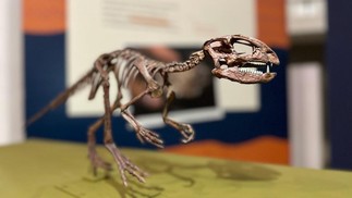 'Expodinos': 7 motivos para visitar a mostra com réplicas de ...