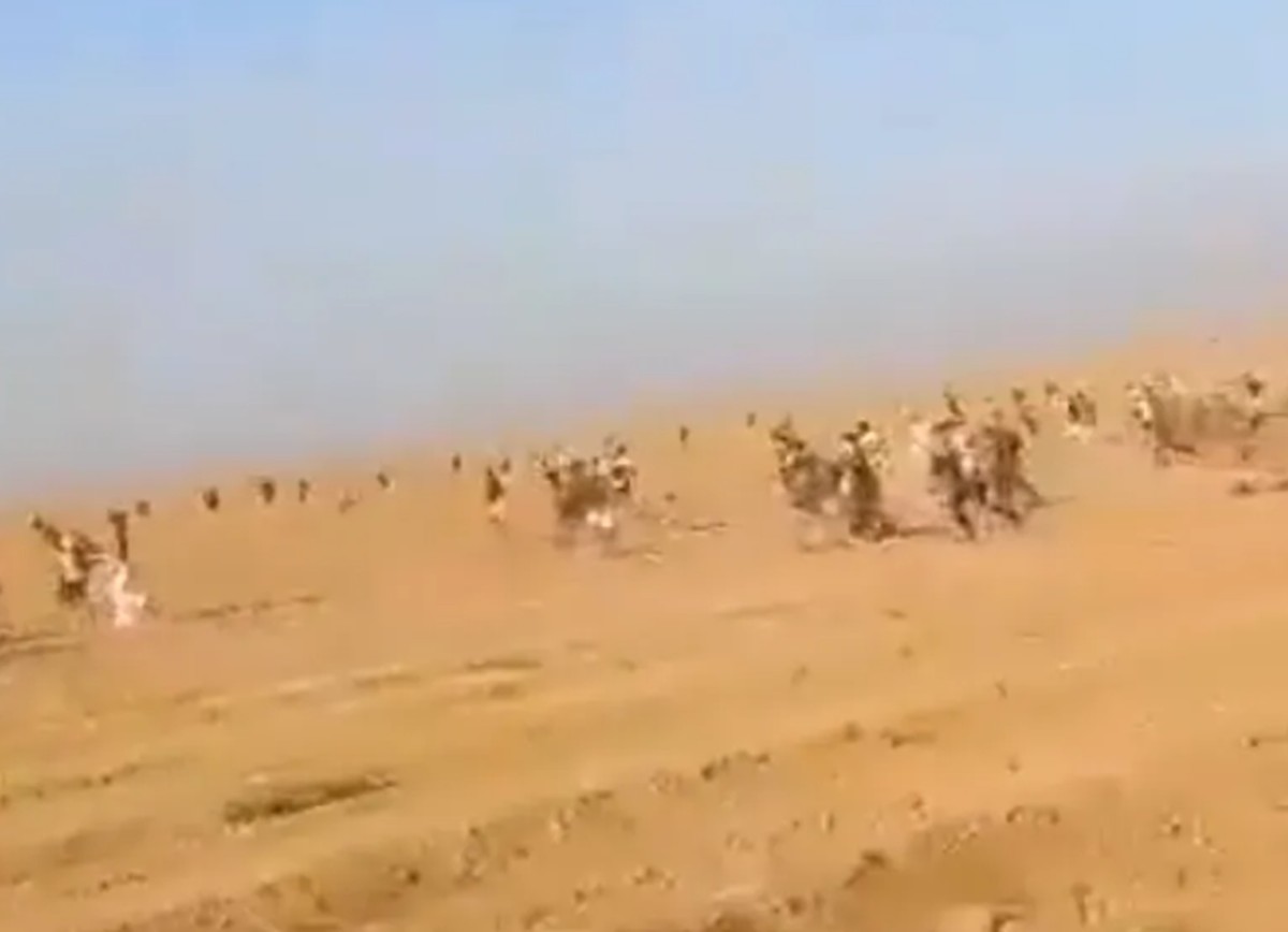 Vídeos mostram fuga de participantes de rave pelo deserto após invasão ...