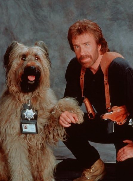Fruto de traição, filha mais velha de Chuck Norris só foi reconhecida ...
