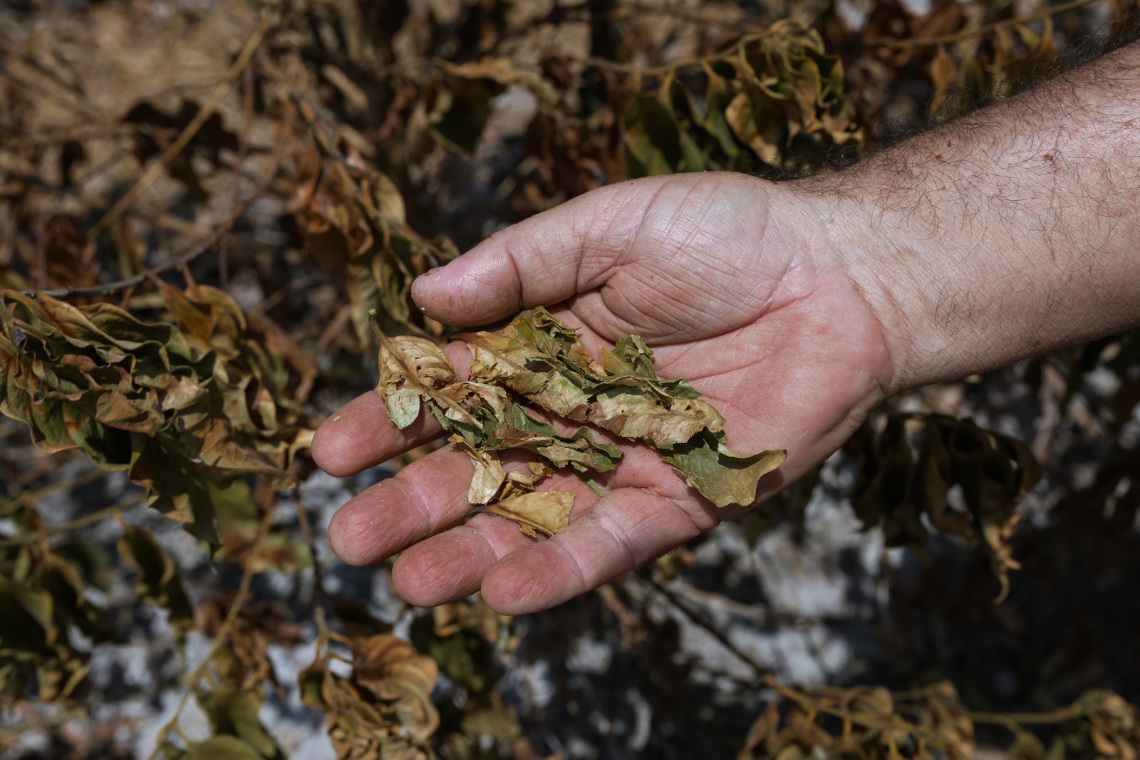 ONU alerta que ciclo mundial da água está se tornando cada vez mais ...