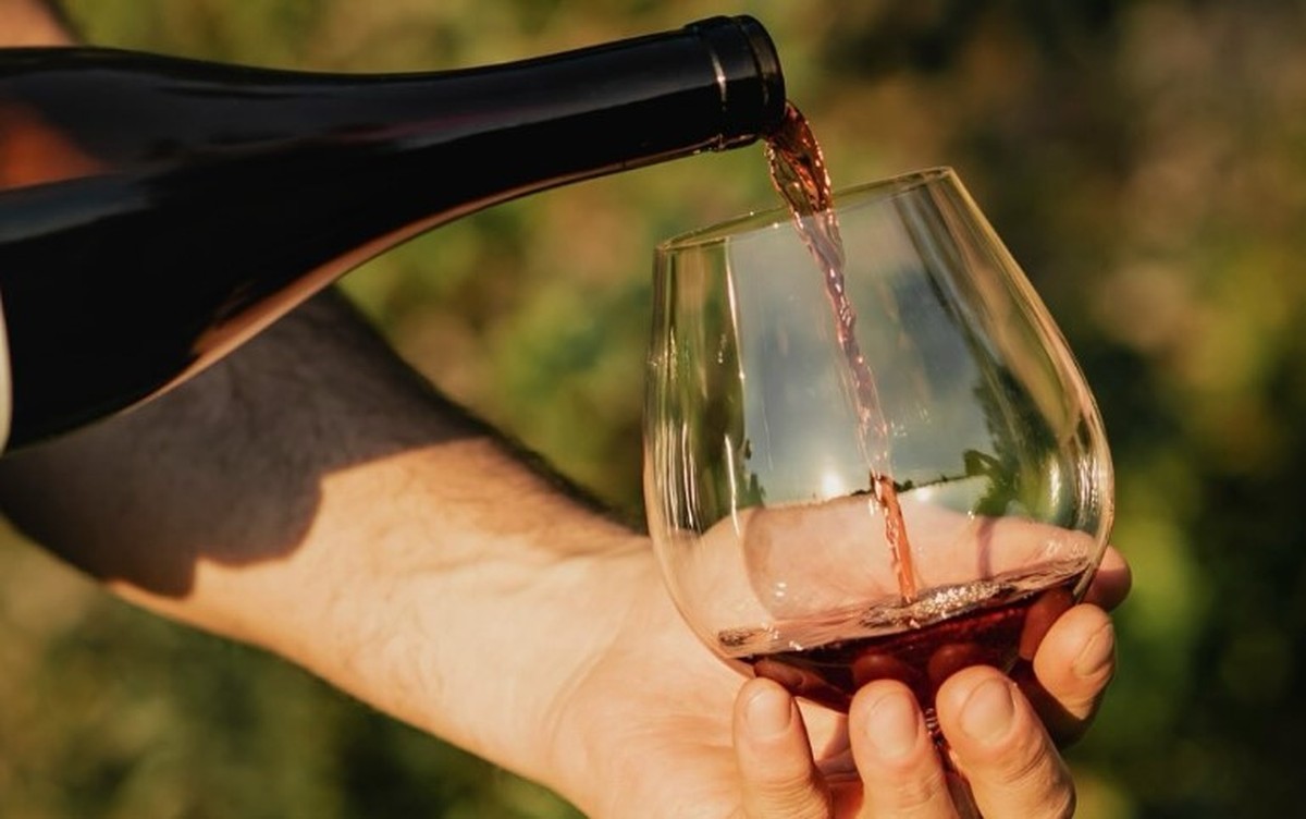 Conheça o melhor vinho tinto do país, feito com uvas de vinhedo de ...
